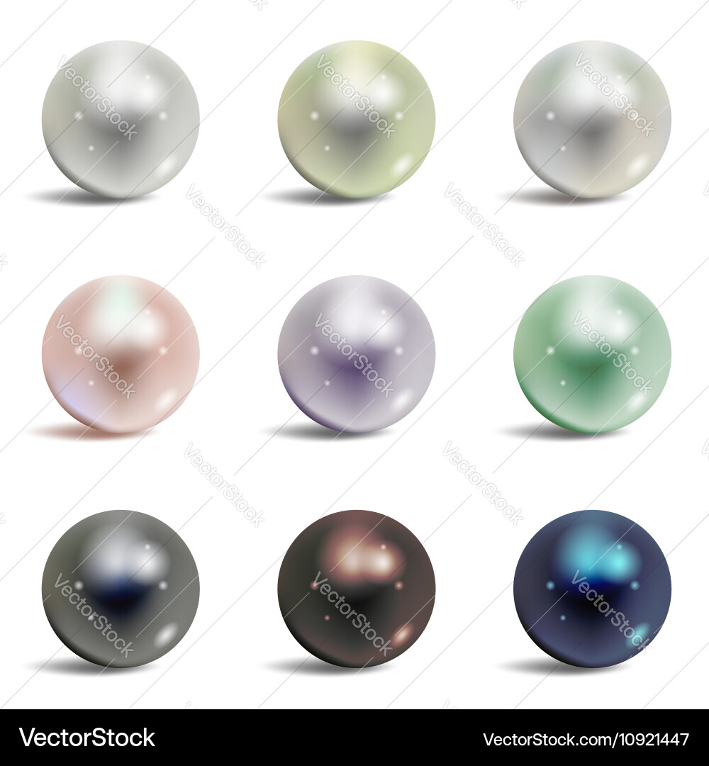 Pearl realistic set isolated on white background Vector Image