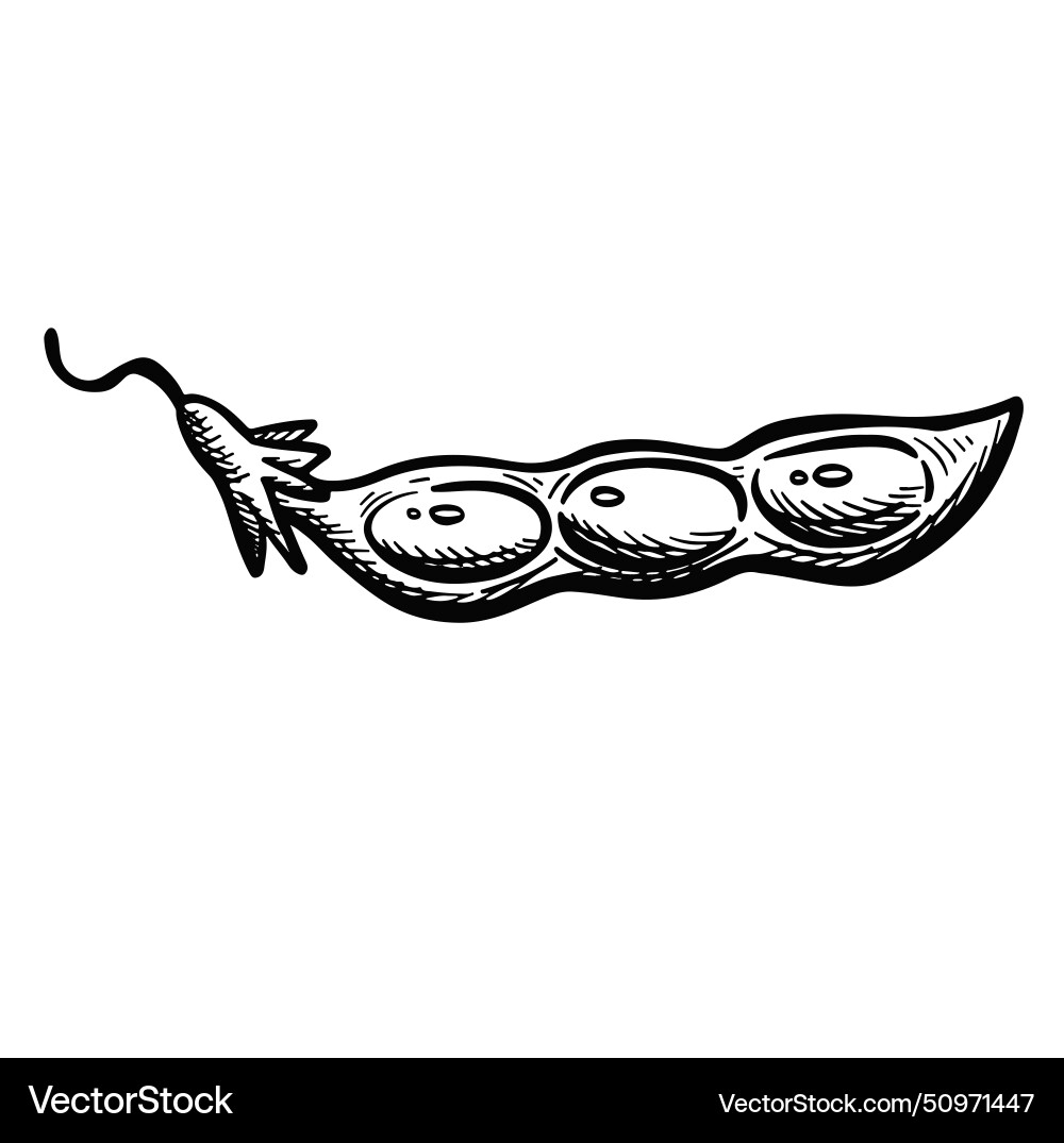 Soybean pod symbol outline Royalty Free Vector Image