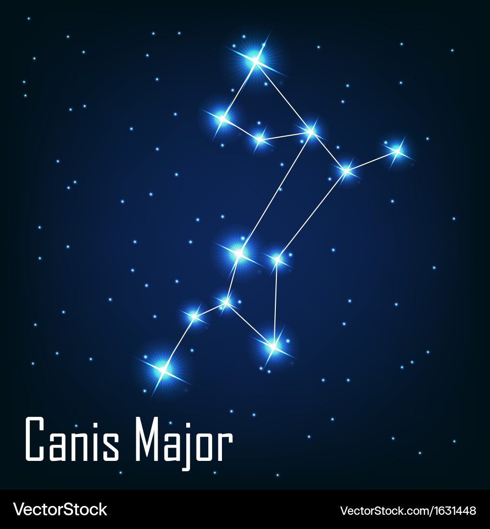 Canis Major Constellation at Night Royalty Free Vector Image
