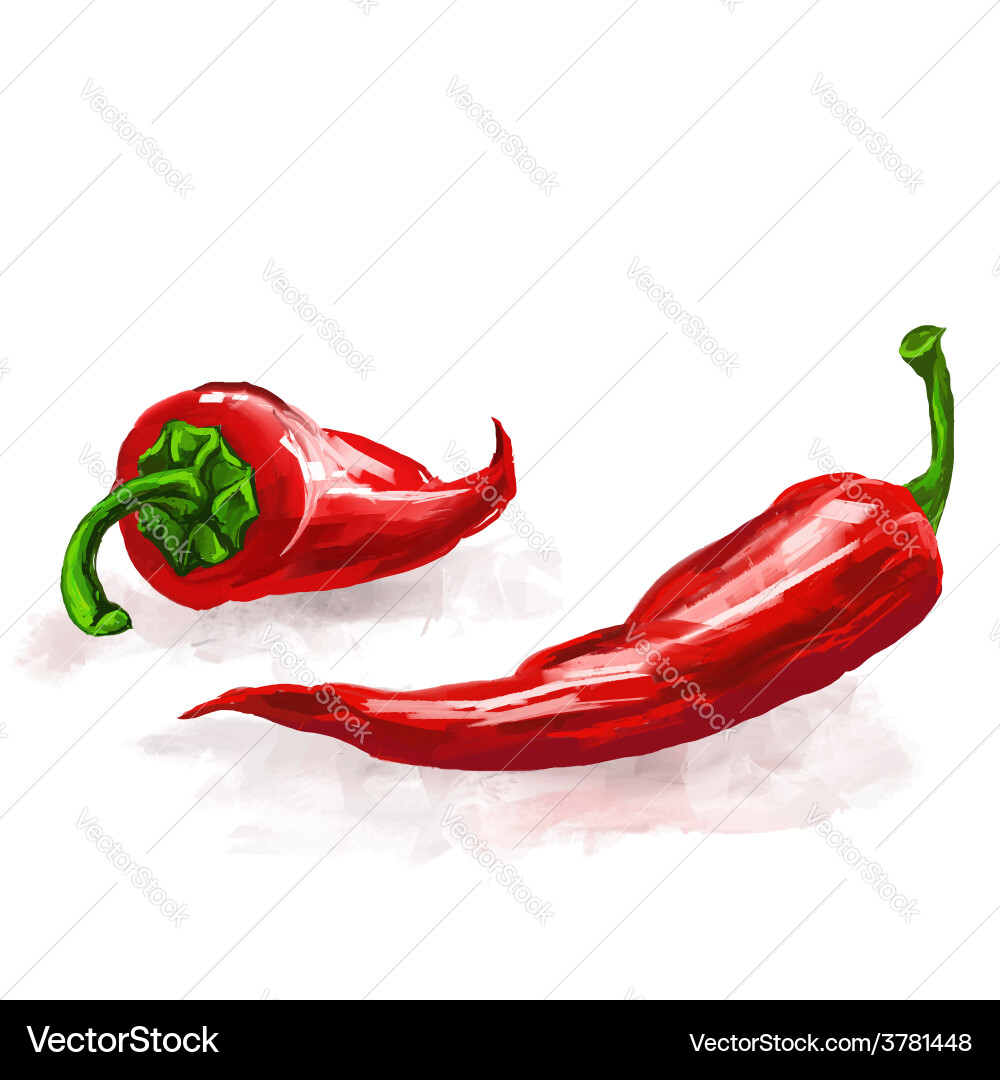Chilli peppers hand drawn Royalty Free Vector Image