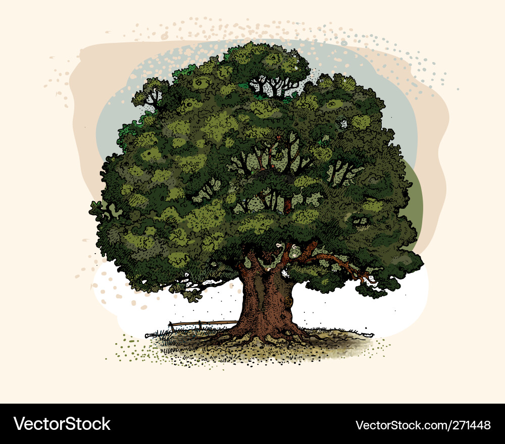 Detailed Oak Tree Landscape Royalty Free Vector Image