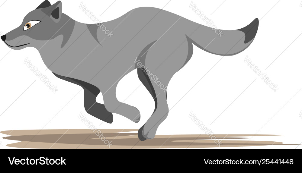 Gray Wolf Running Drawing