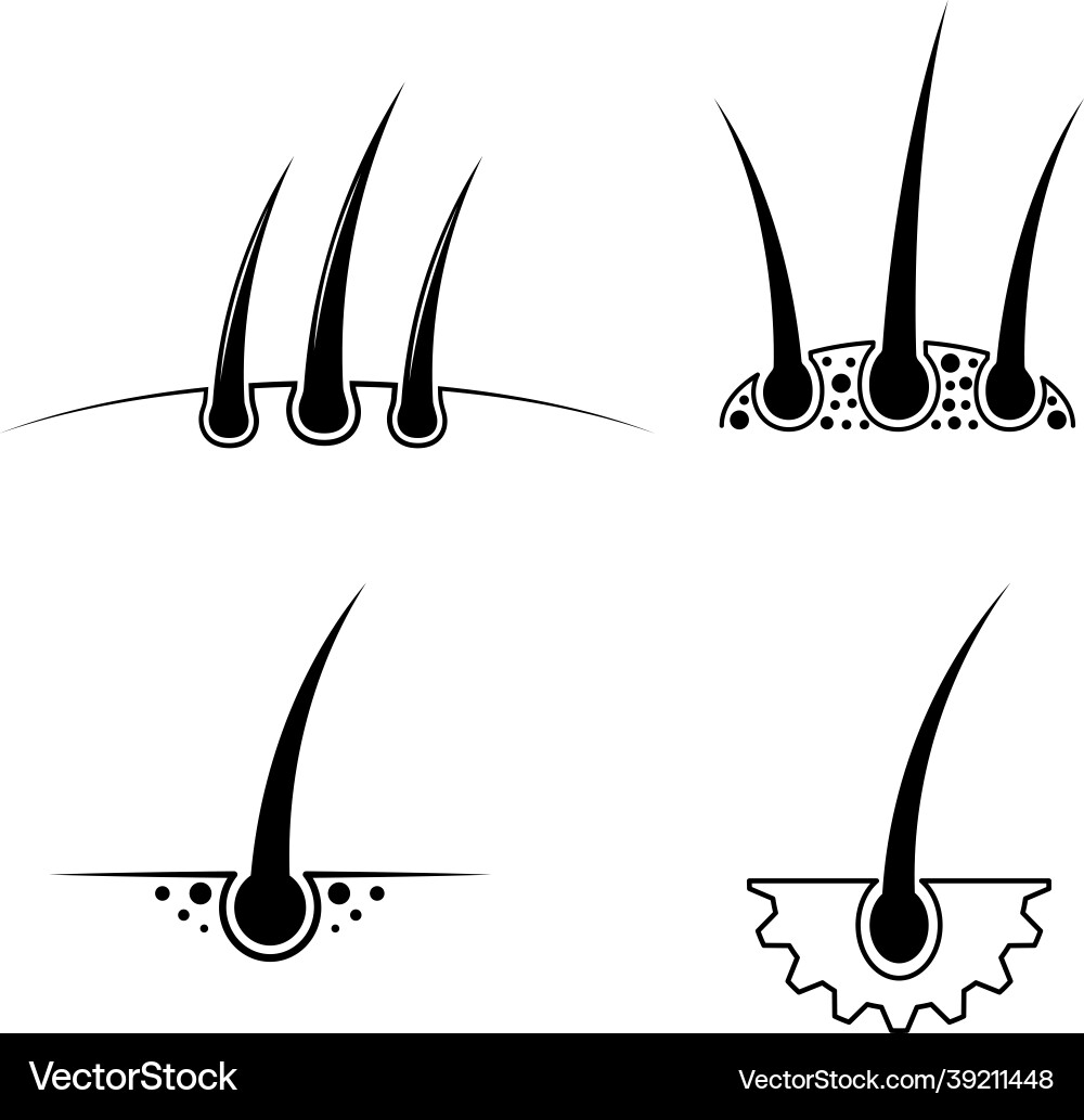 Haar-Icon-Set Design Vorlage Lizenzfreies Vektorbild