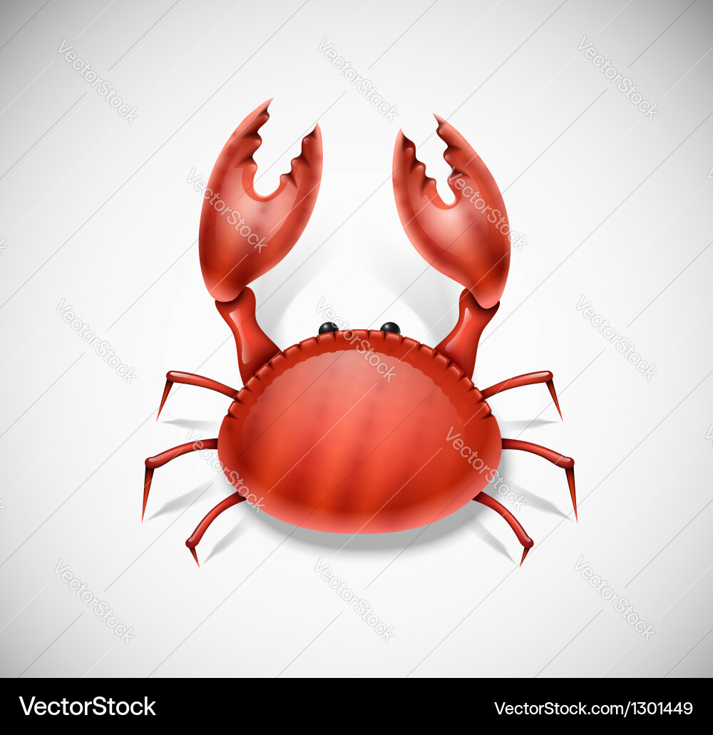Isolated crab Royalty Free Vector Image - VectorStock