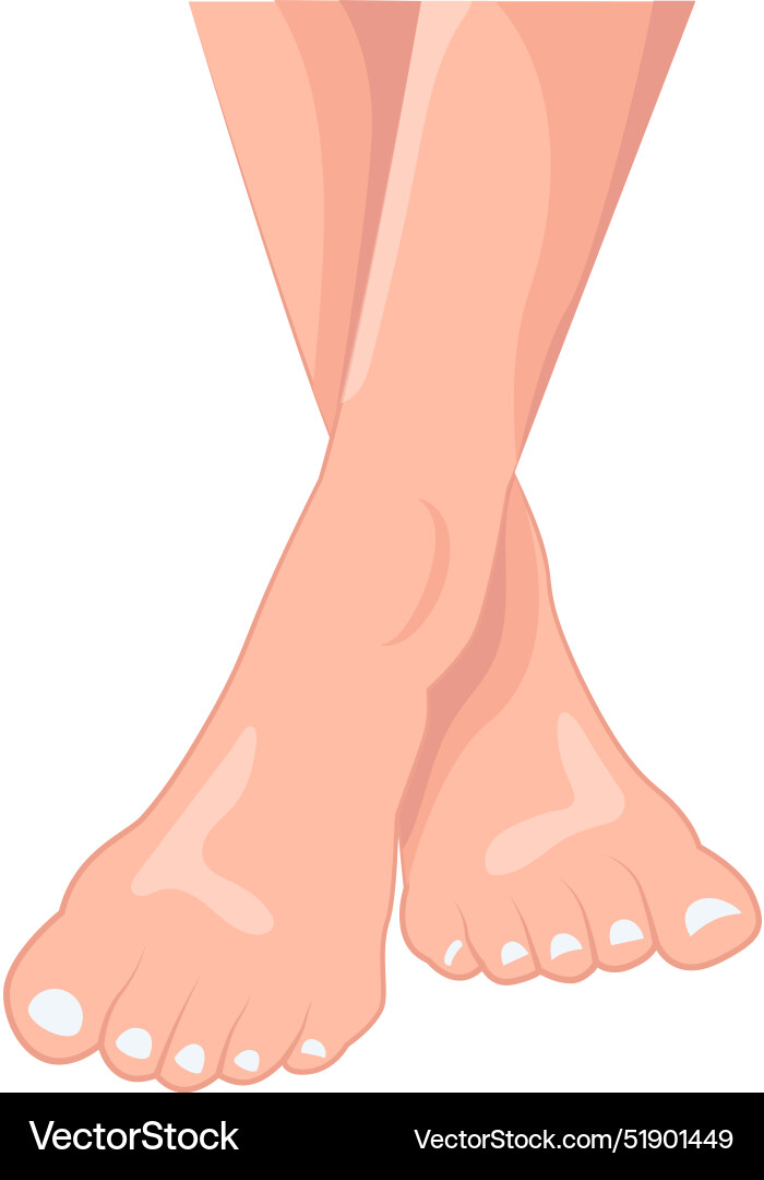 Weba flat style icon of human feet Royalty Free Vector Image