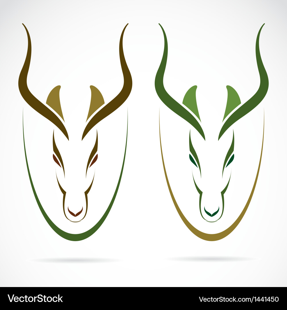 Image of an head impala Royalty Free Vector Image