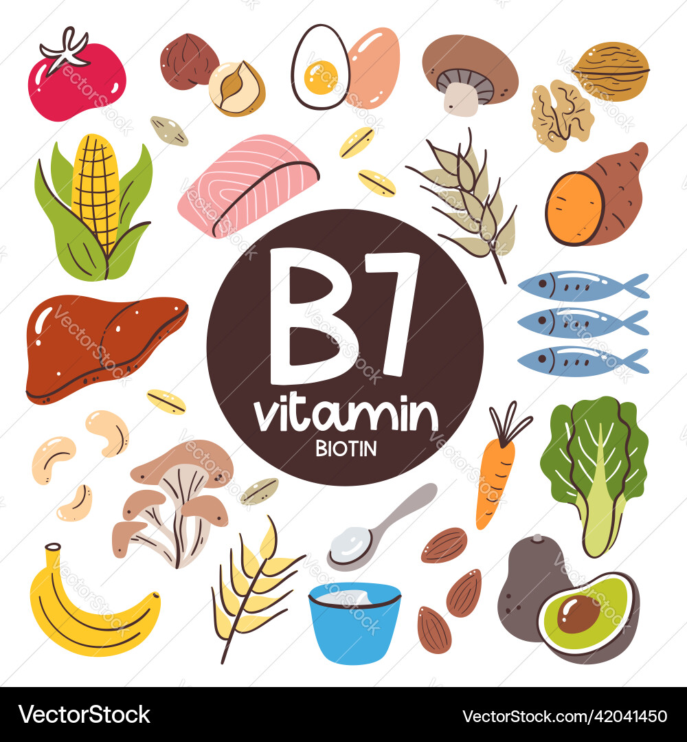 Vitamin b7 food ingredients biotin Royalty Free Vector Image