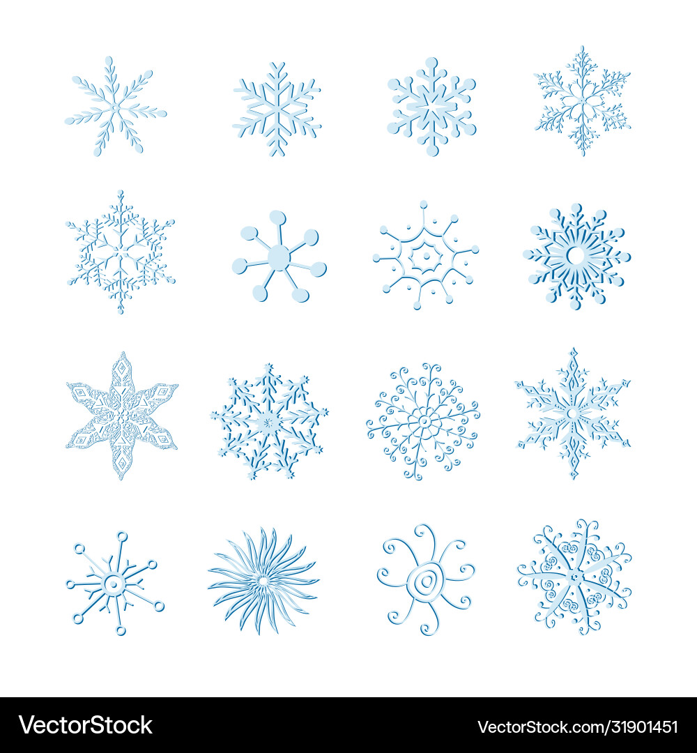 Set different snowflakes Royalty Free Vector Image