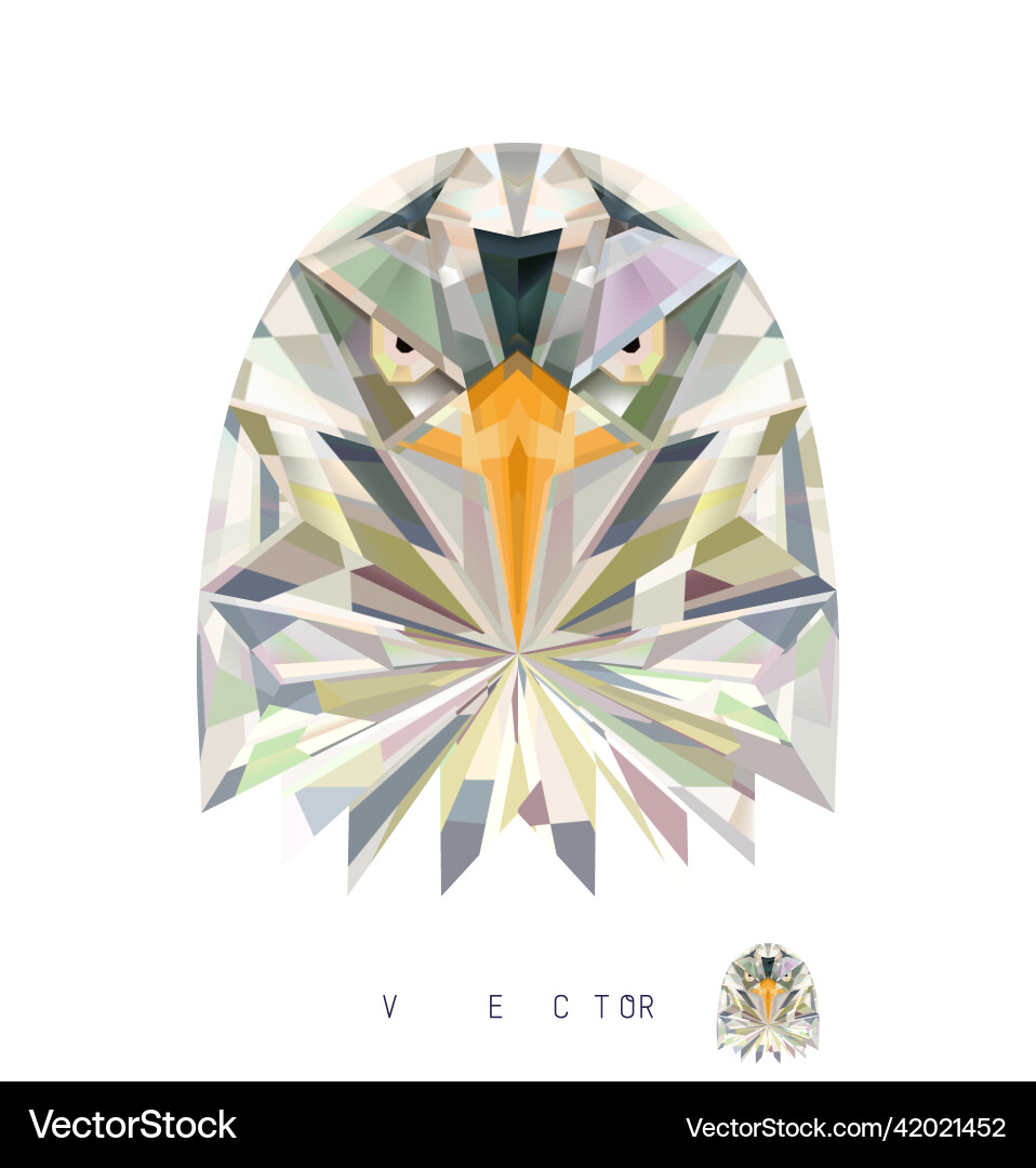 Bald Adlerkopf Lizenzfreies Vektorbild - VectorStock