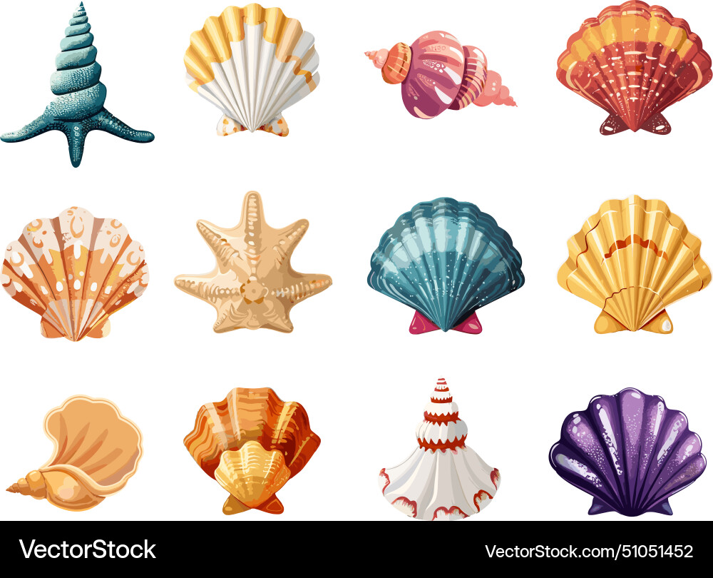Cartoon seashells colorful shell starfish coral Vector Image