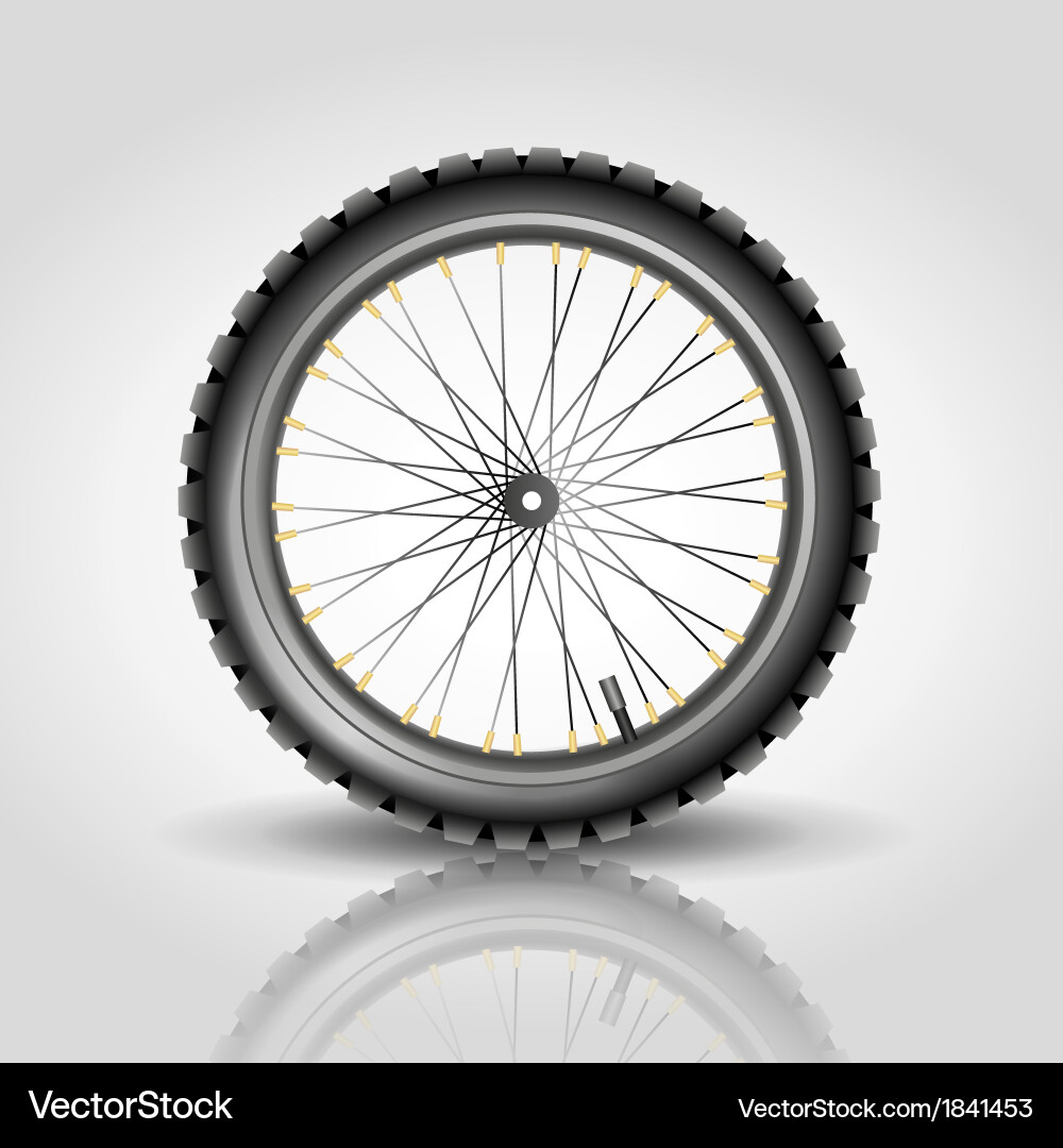 Bike wheel Royalty Free Vector Image - VectorStock