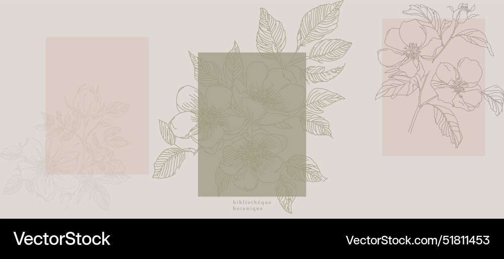 Floral header with peonies wild rose hip Vector Image