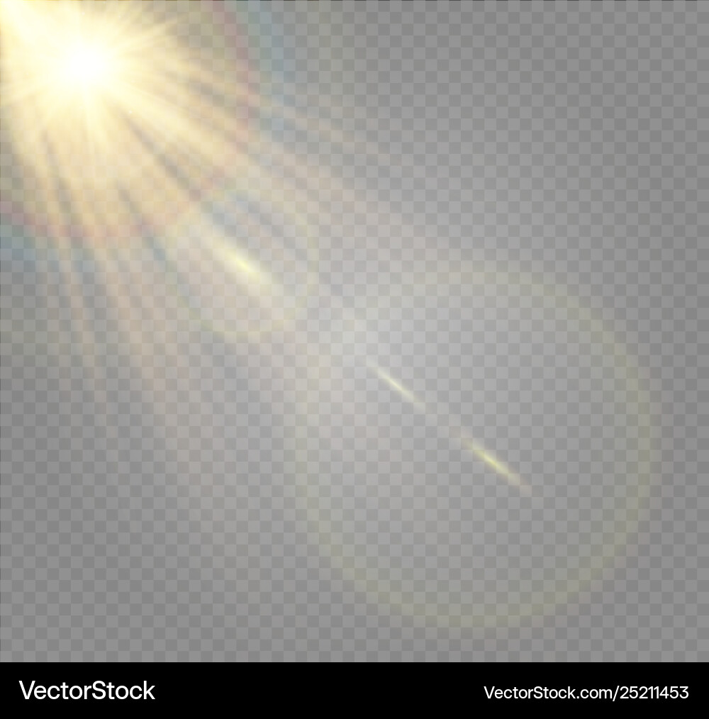 Transparent sunlight Royalty Free Vector Image