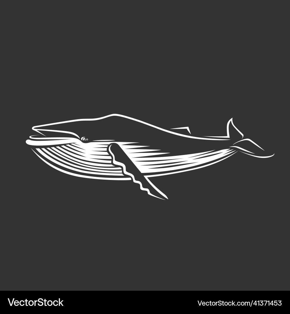 Whale black and white Royalty Free Vector Image