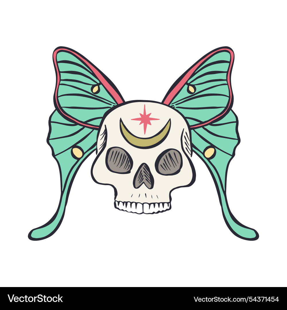 Hand drawn human skull with teal luna moth wings Vector Image