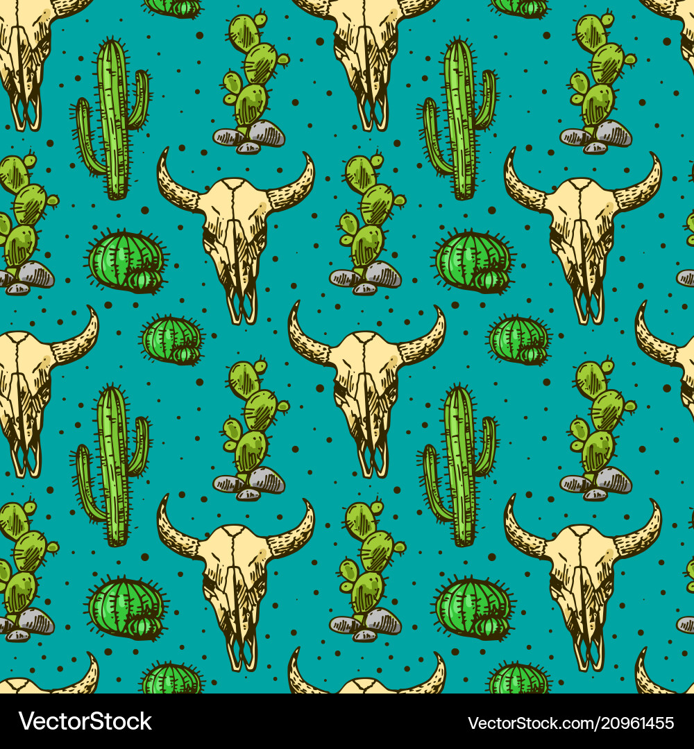 Cactus and skull of bull Royalty Free Vector Image
