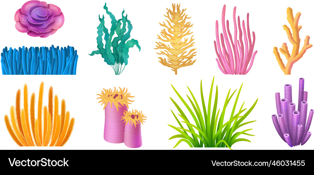 Coral Reef Icons Set Royalty Free Vector Image