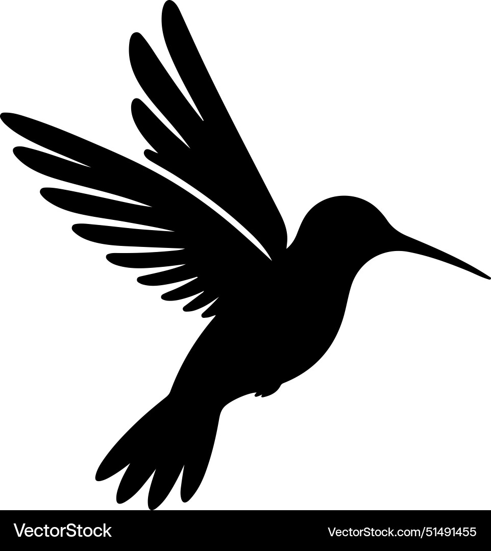 Flying hummingbirds silhouette isolated on white Vector Image