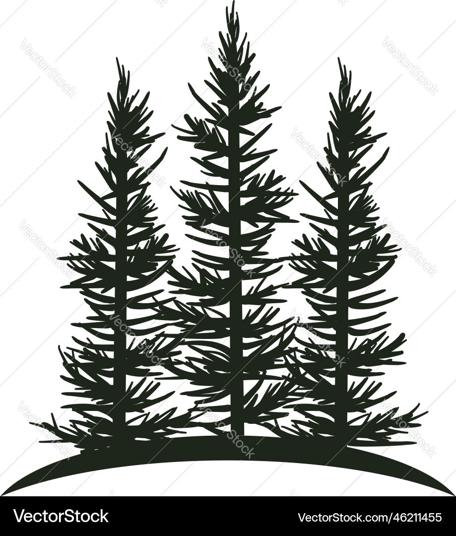 Forest fir trees Royalty Free Vector Image - VectorStock