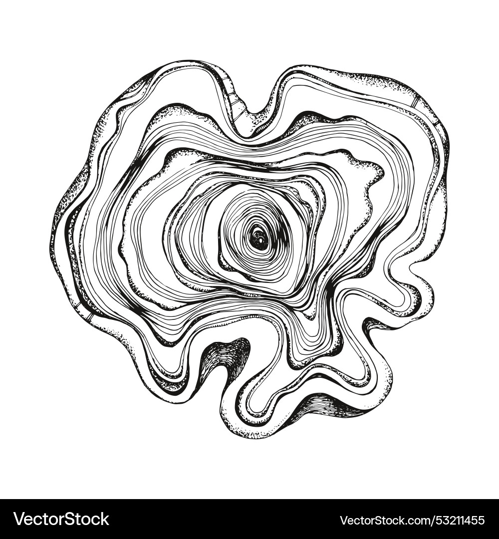 Natural edge wood slab Royalty Free Vector Image