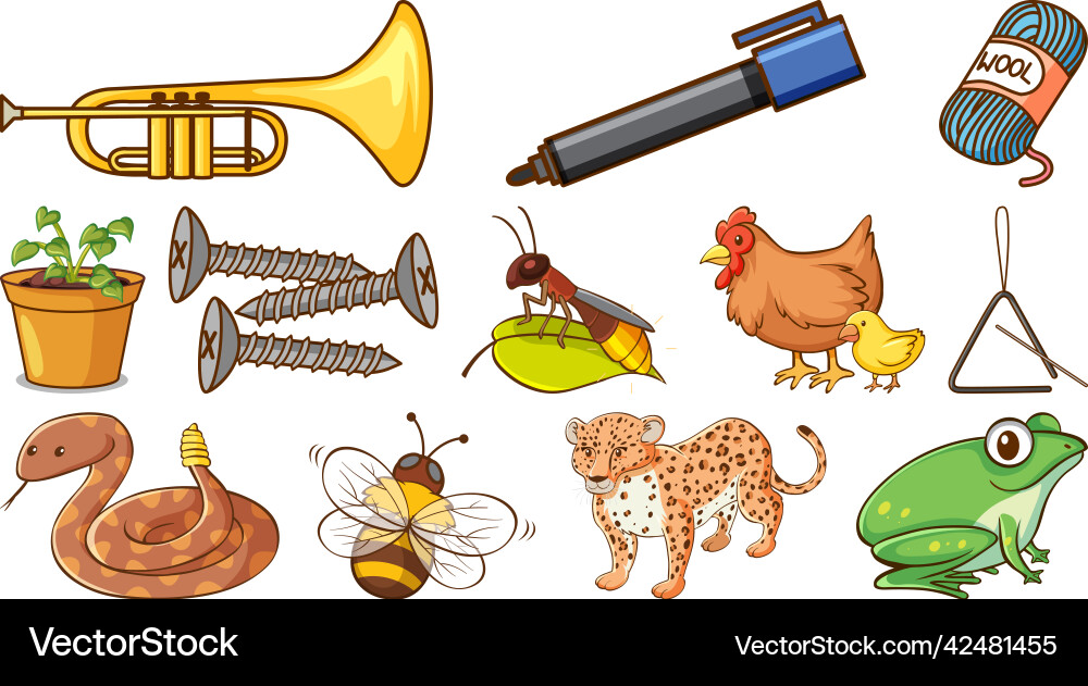 Wild animals and other objects Royalty Free Vector Image