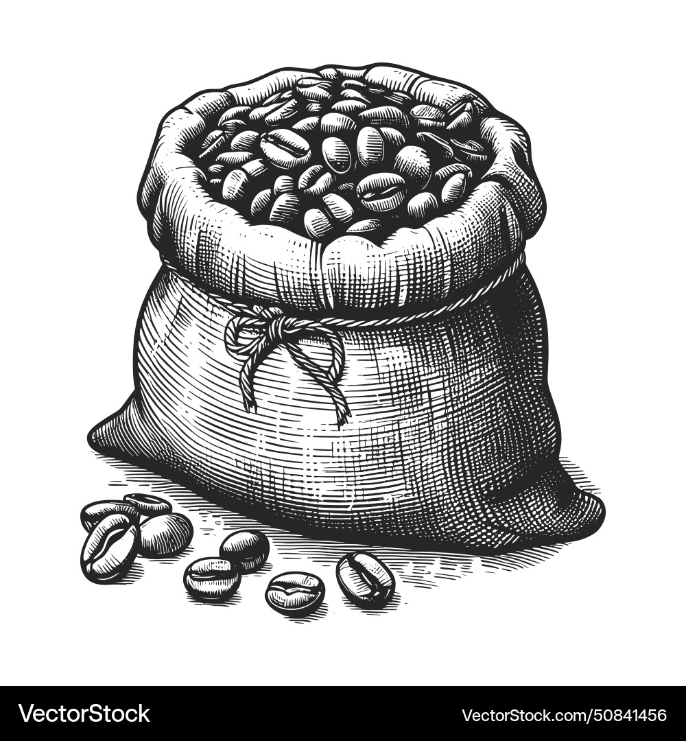 Coffee bean sack bag engraving Royalty Free Vector Image