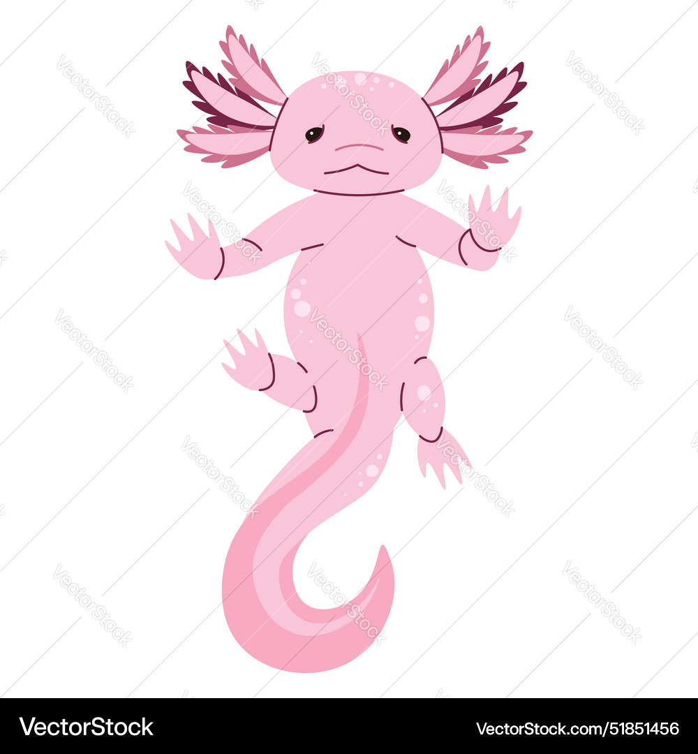 Cute pink axolotl on a white background exotic Vector Image