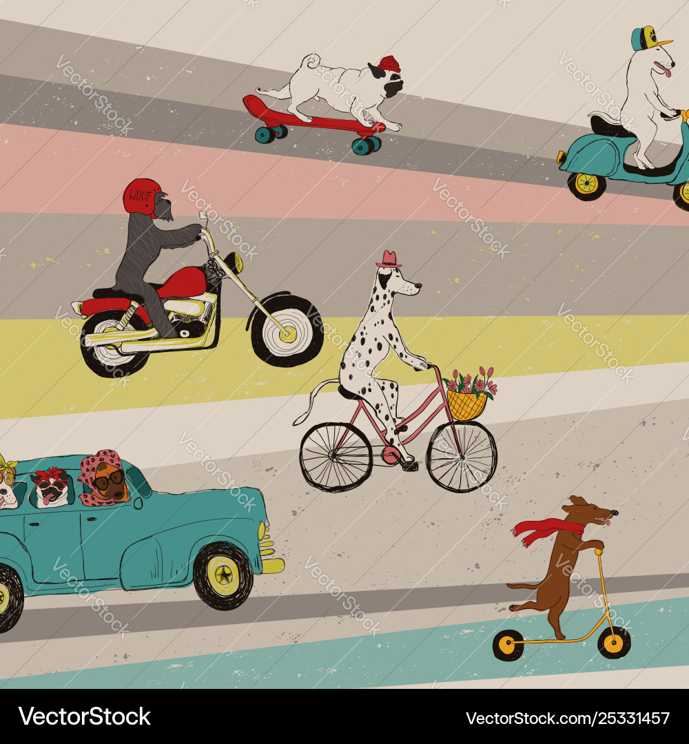 Funny dogs driving vehicles Royalty Free Vector Image