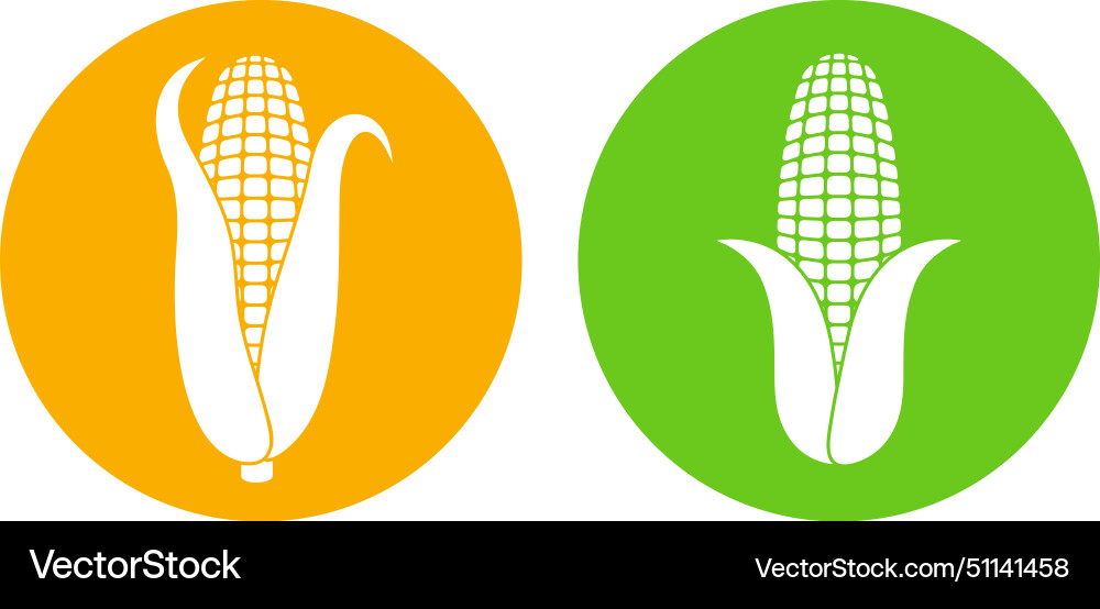Corn Royalty Free Vector Image - VectorStock