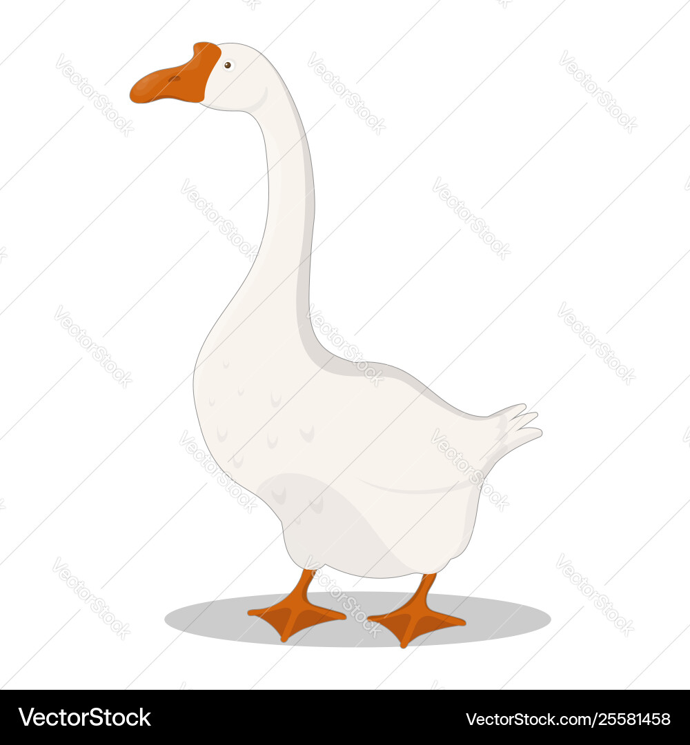 Goose cartoon style isolated Royalty Free Vector Image