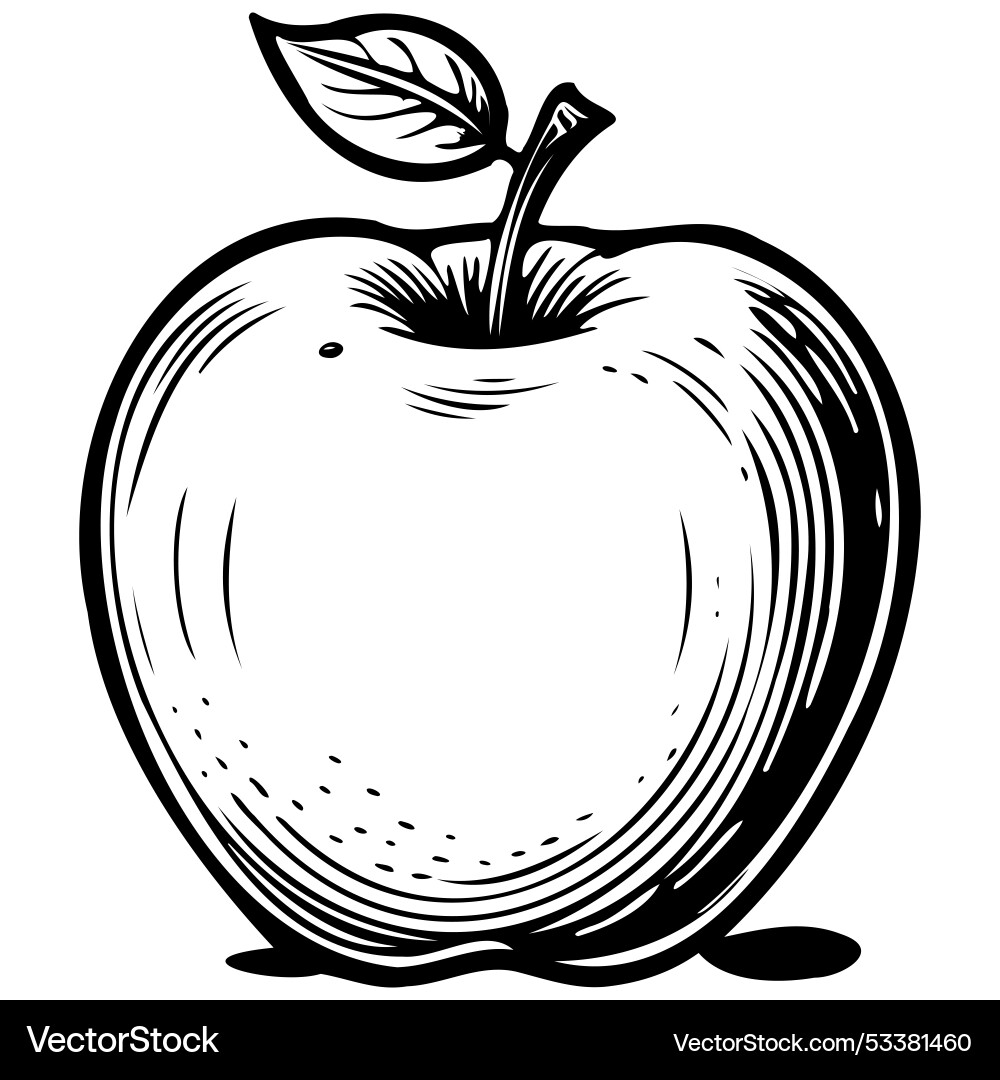 Engrave apple monochrome outline drawing Vector Image