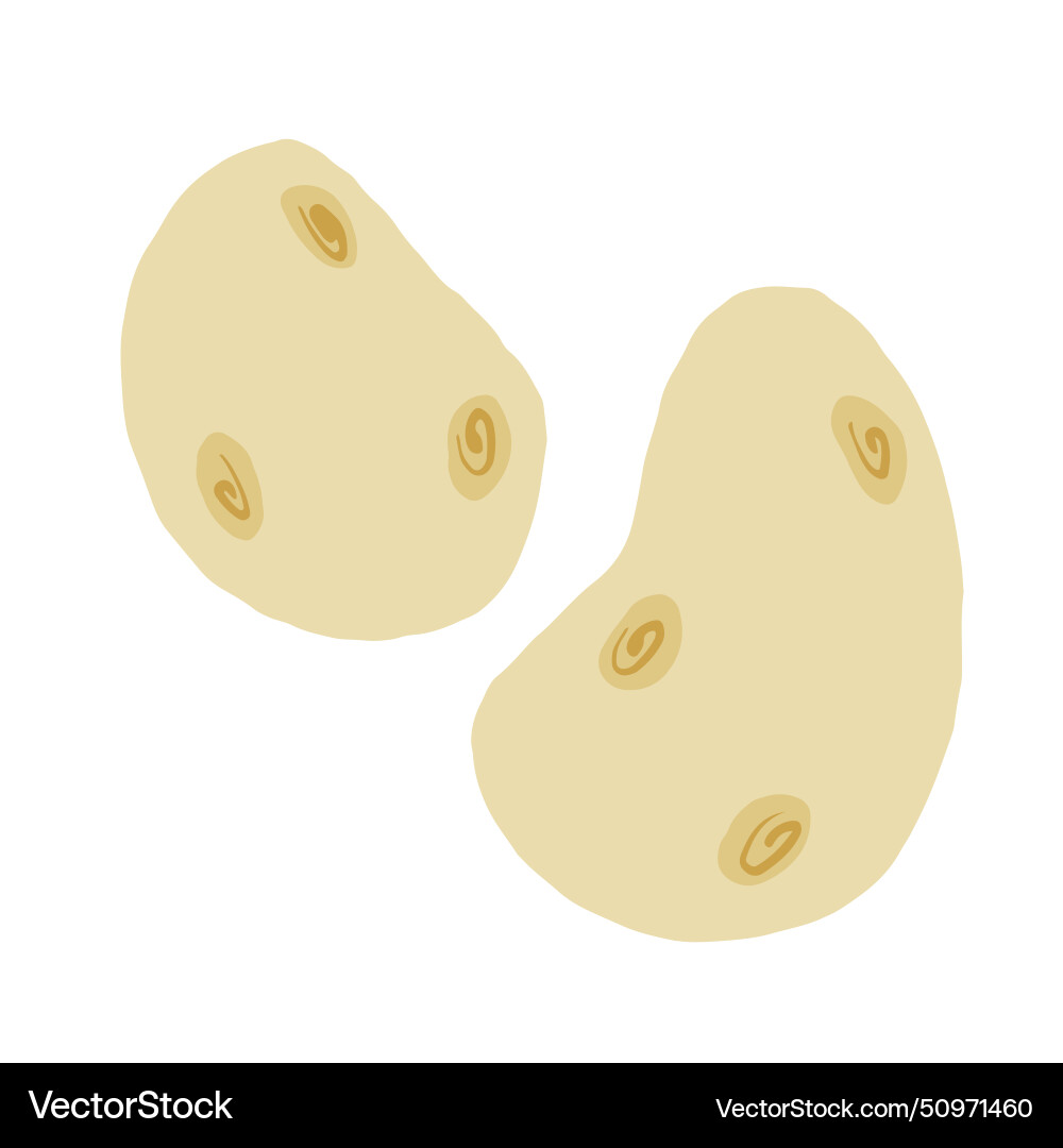 Vegetable root potato Royalty Free Vector Image
