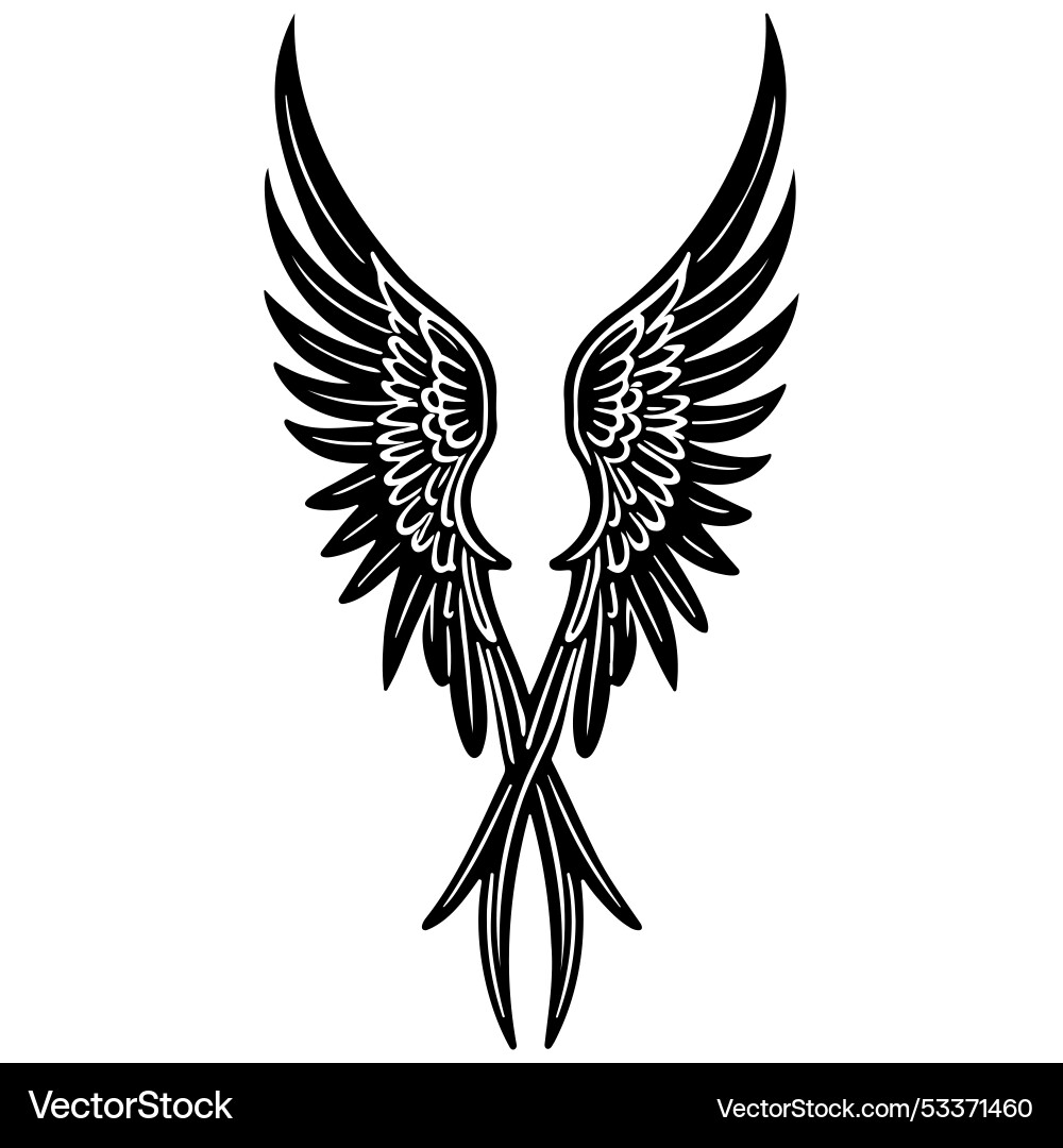 Wings monochrome outline drawing realistic tattoo Vector Image
