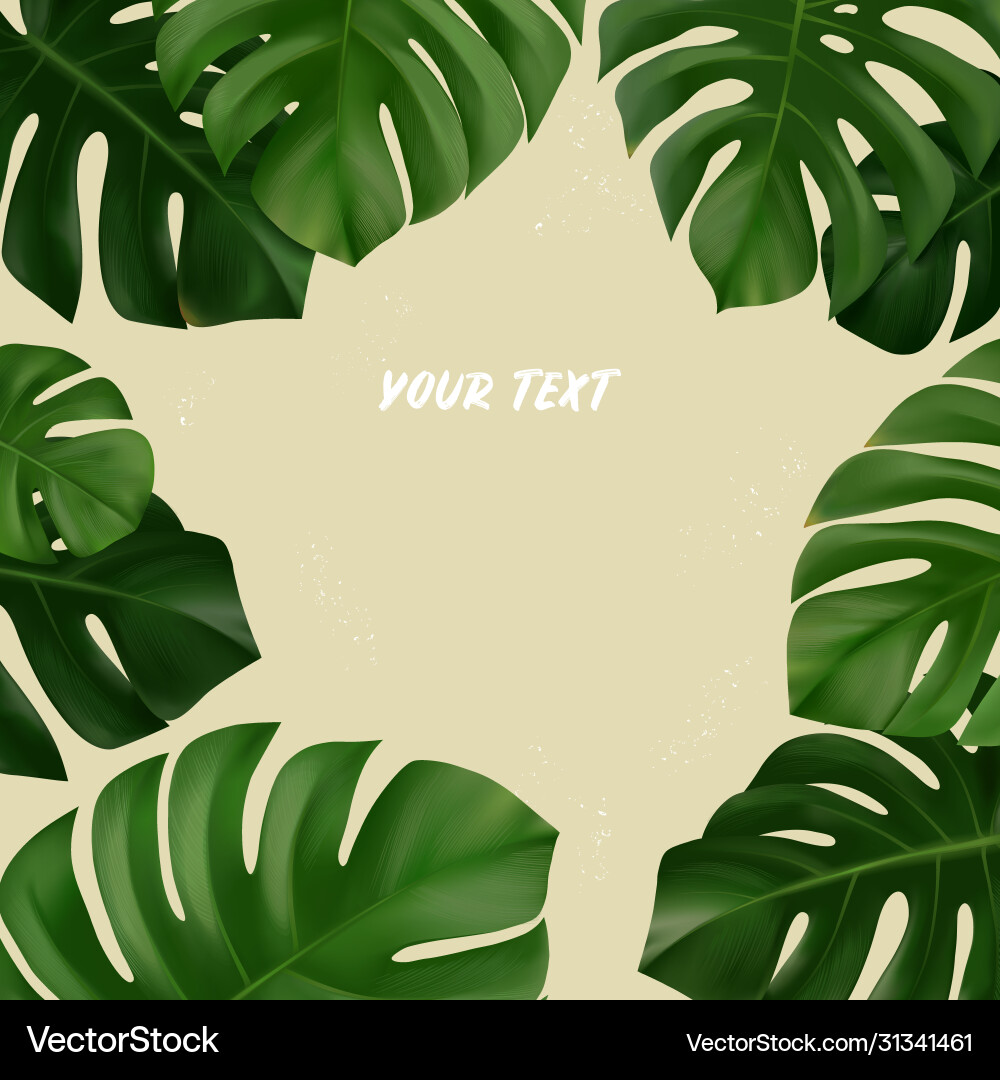 Tropical Monstera Leaves Background Royalty Free Vector