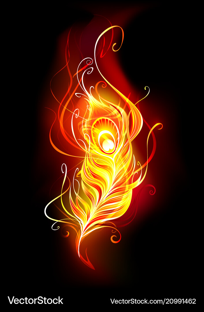 Fire peacock feather Royalty Free Vector Image