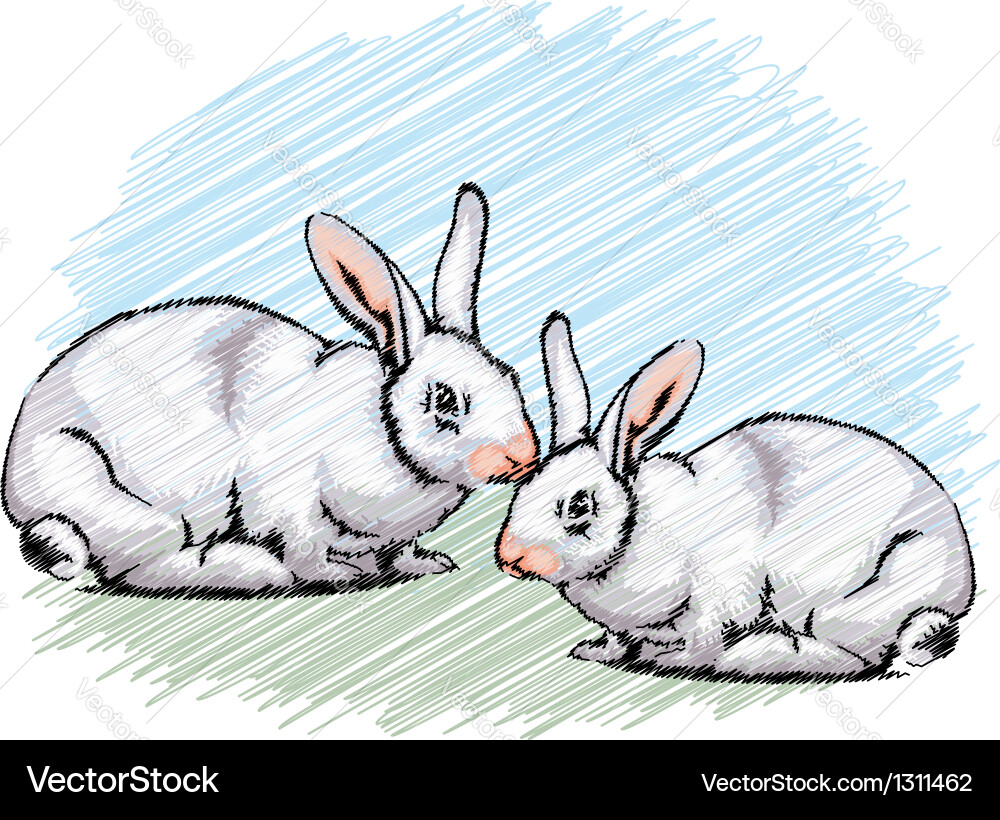 Rabbit Royalty Free Vector Image - VectorStock