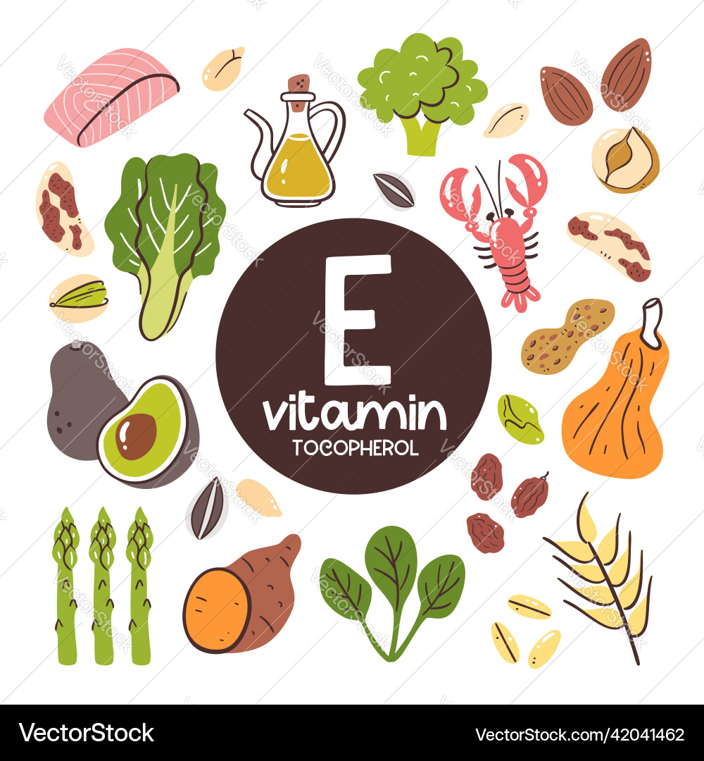 Vitamin e food ingredients tocopherol Royalty Free Vector