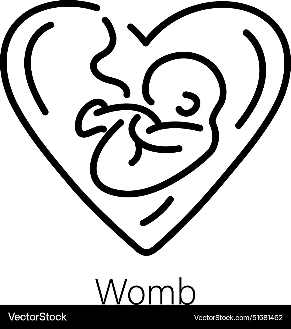 Womb Royalty Free Vector Image - VectorStock
