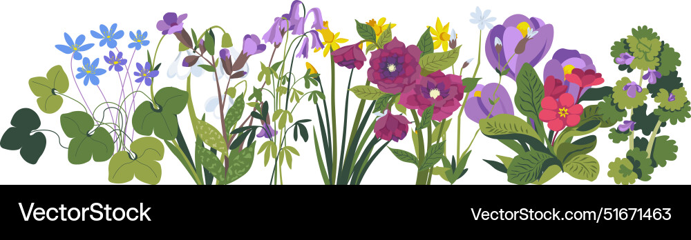 Colorful spring flowers Royalty Free Vector Image