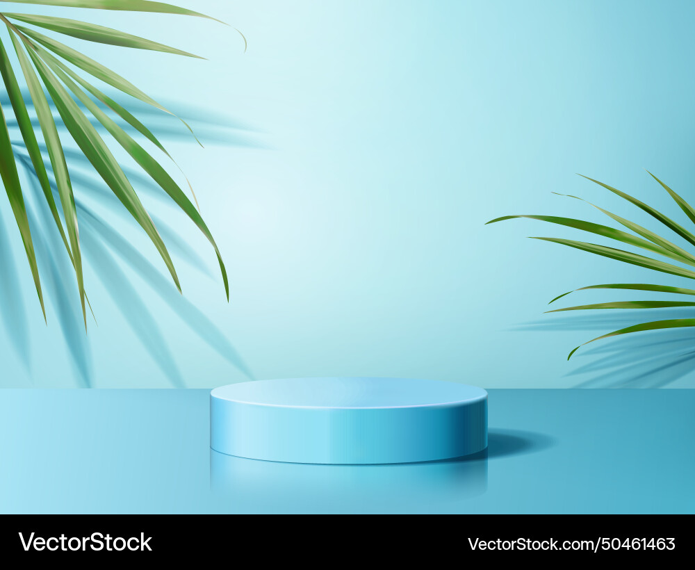 Product display podium Royalty Free Vector Image