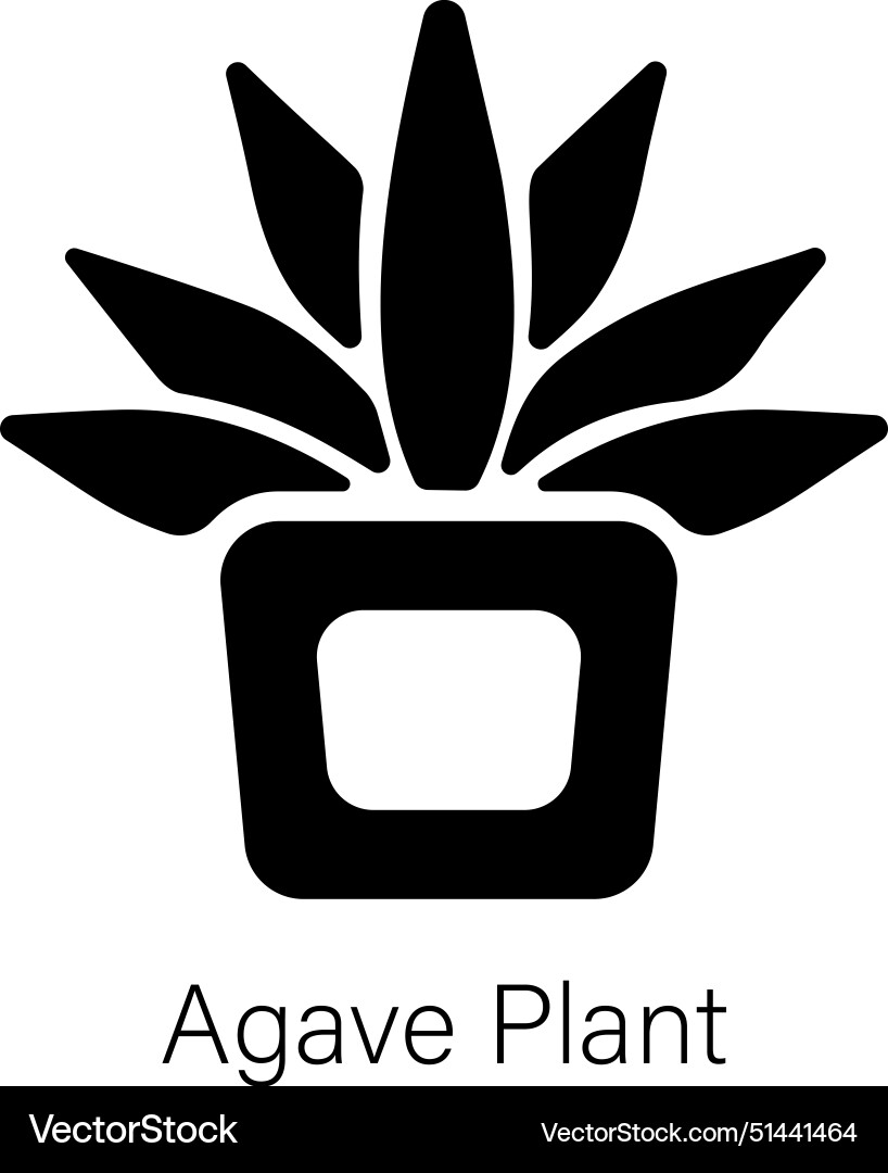 Agave plant Royalty Free Vector Image - VectorStock