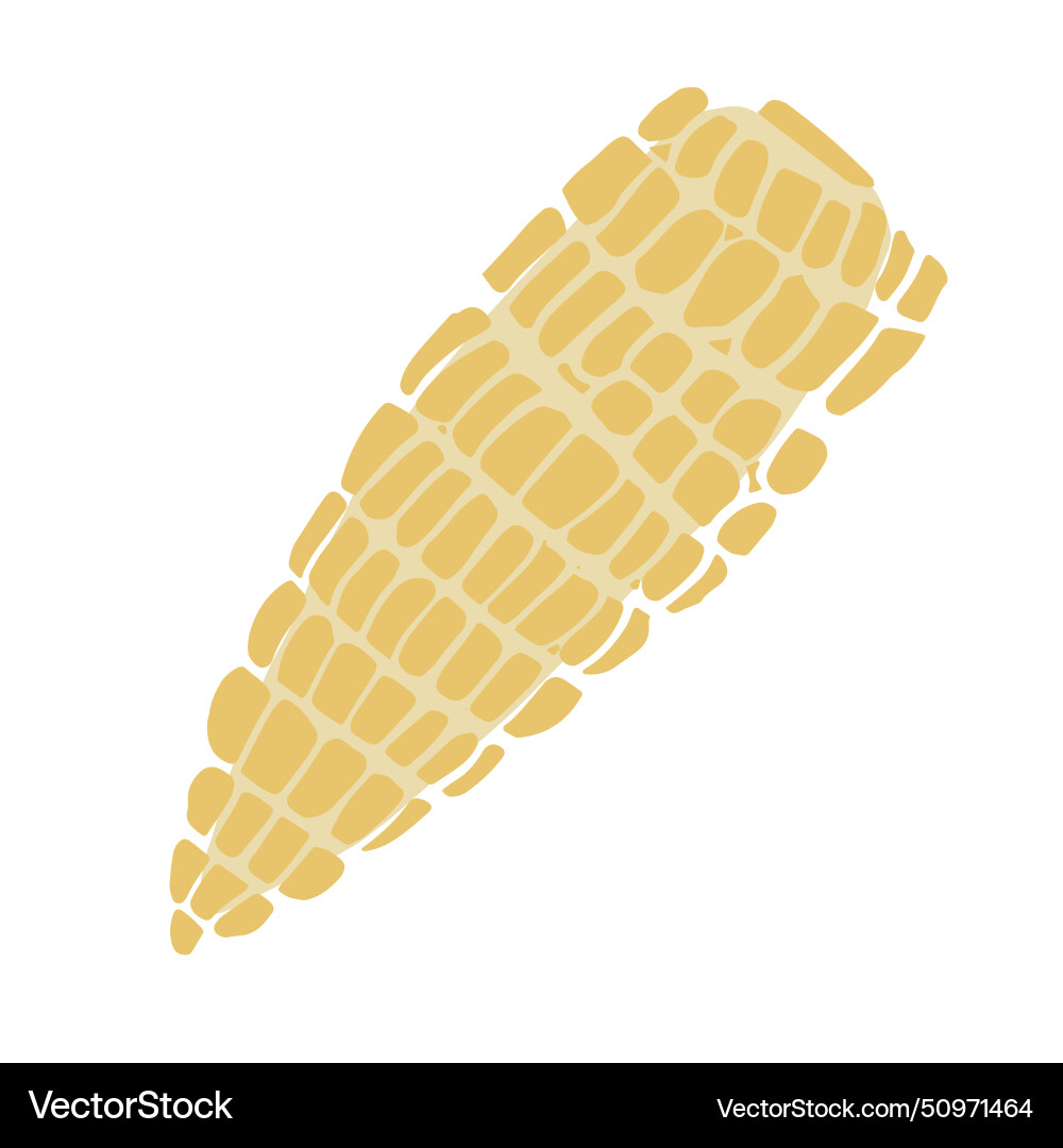 Corn cob collage picture Royalty Free Vector Image