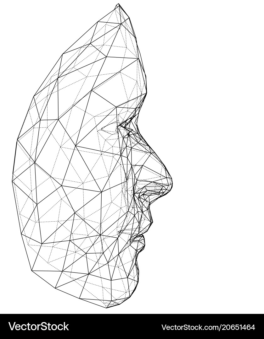 Wire-frame abstract human face Royalty Free Vector Image