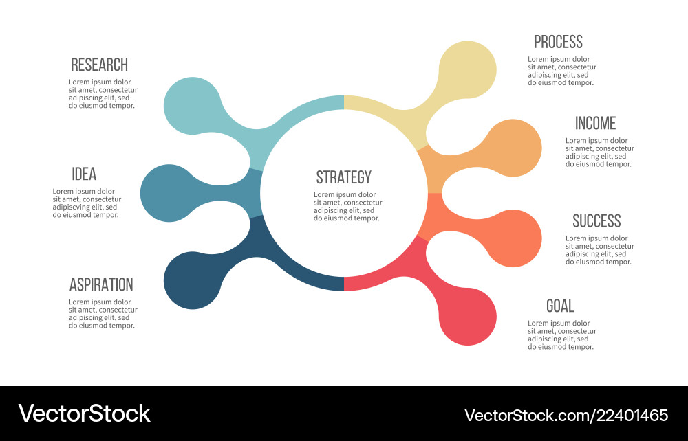 Business infographic organization chart with 7 Vector Image