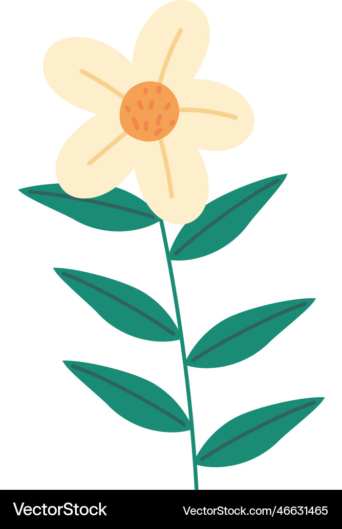 Flower petals nature Royalty Free Vector Image