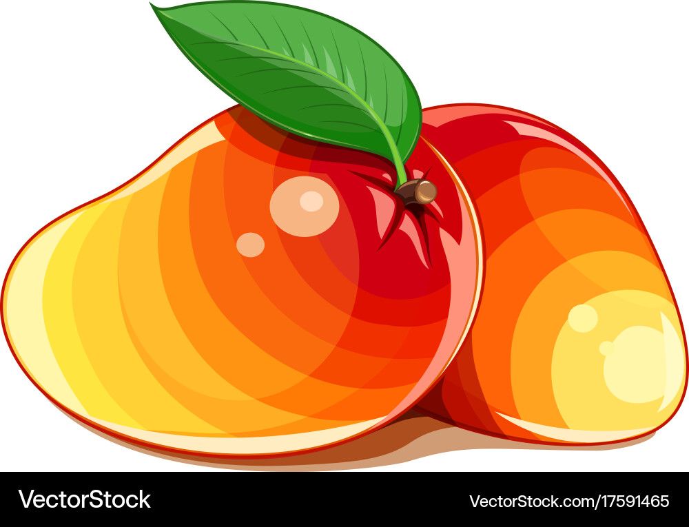 Mango two ripe juicy tropical Royalty Free Vector Image