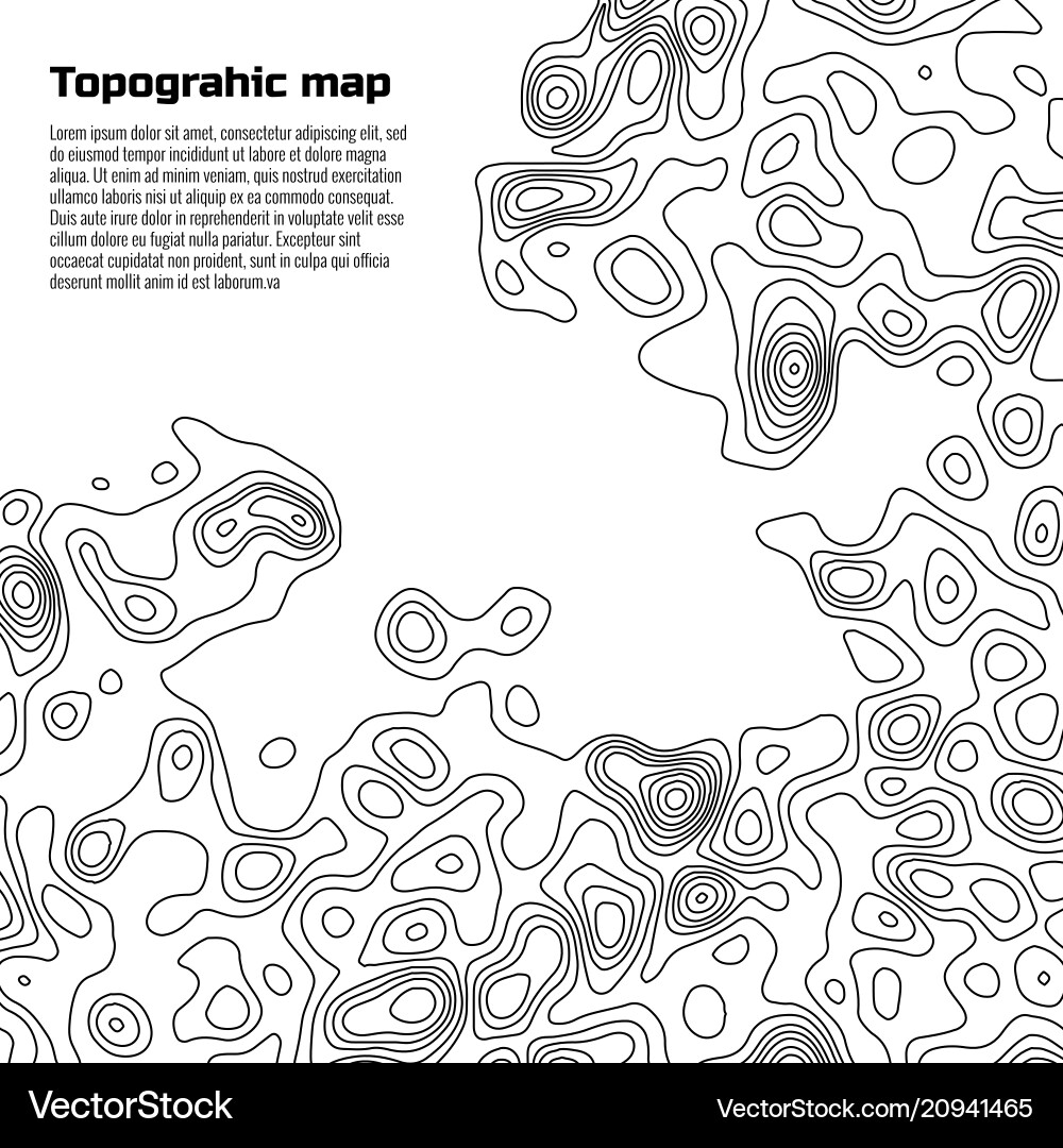 Topography map Royalty Free Vector Image - VectorStock