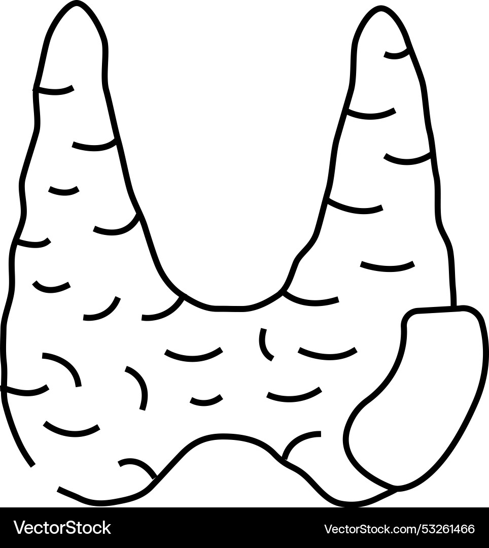 Thyroid cancer line icon Royalty Free Vector Image