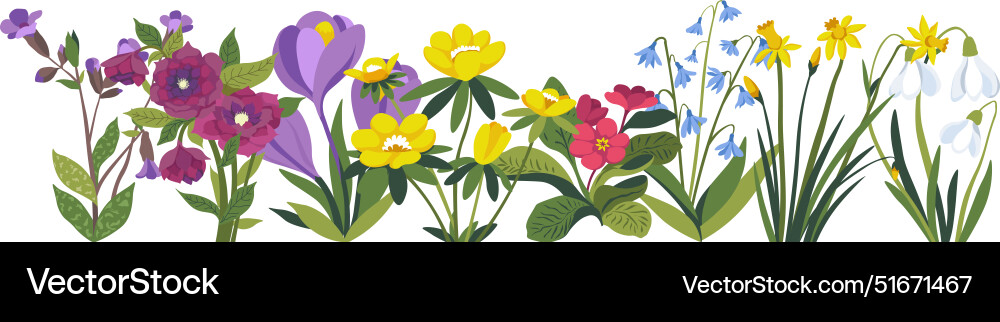 Colorful spring flowers Royalty Free Vector Image