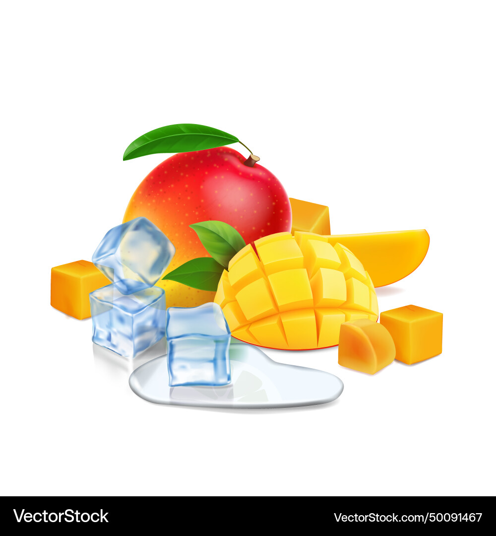 Fresh mango with ice cubes chopped Royalty Free Vector Image